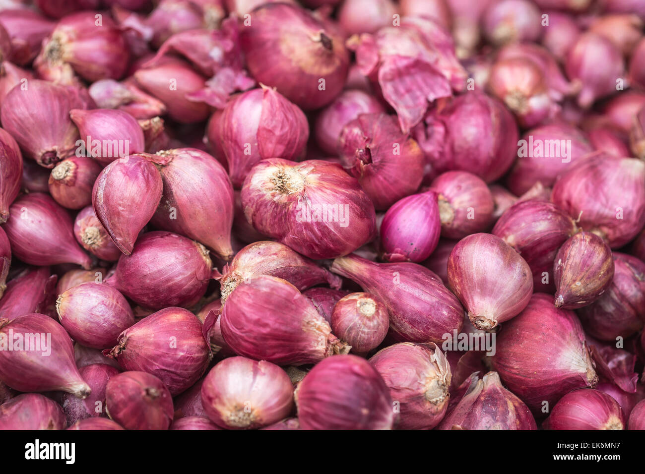 Close up Stack of Red onions Stock Photo - Alamy