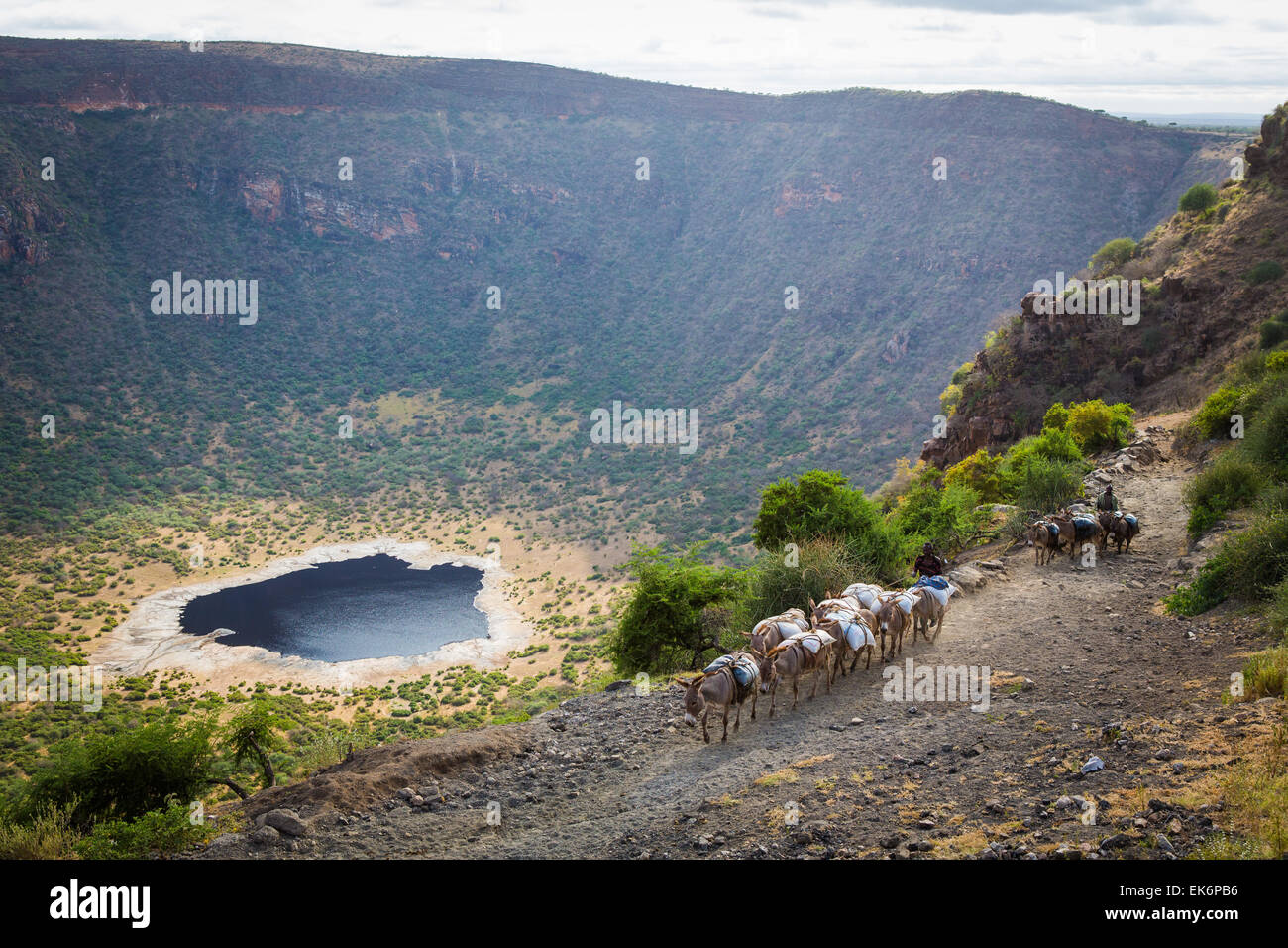Miners carry salt from a mine of the former volcano crater with donkeys ...