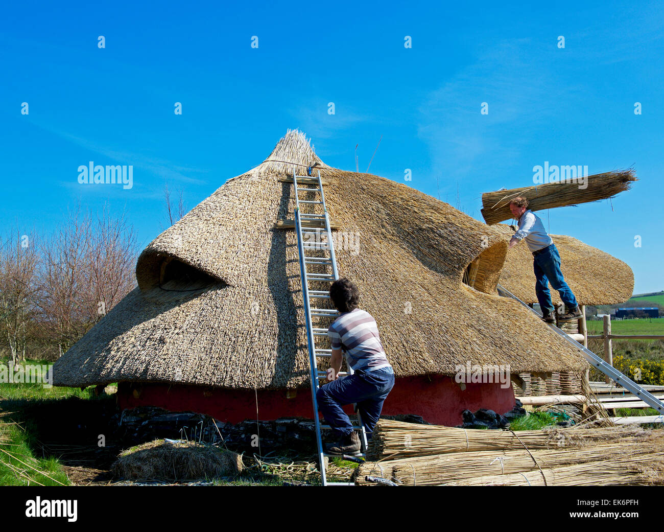 Thatching a roundhouse at the Felin Uchaf eco-centre, Rhoshirwaun. near ...
