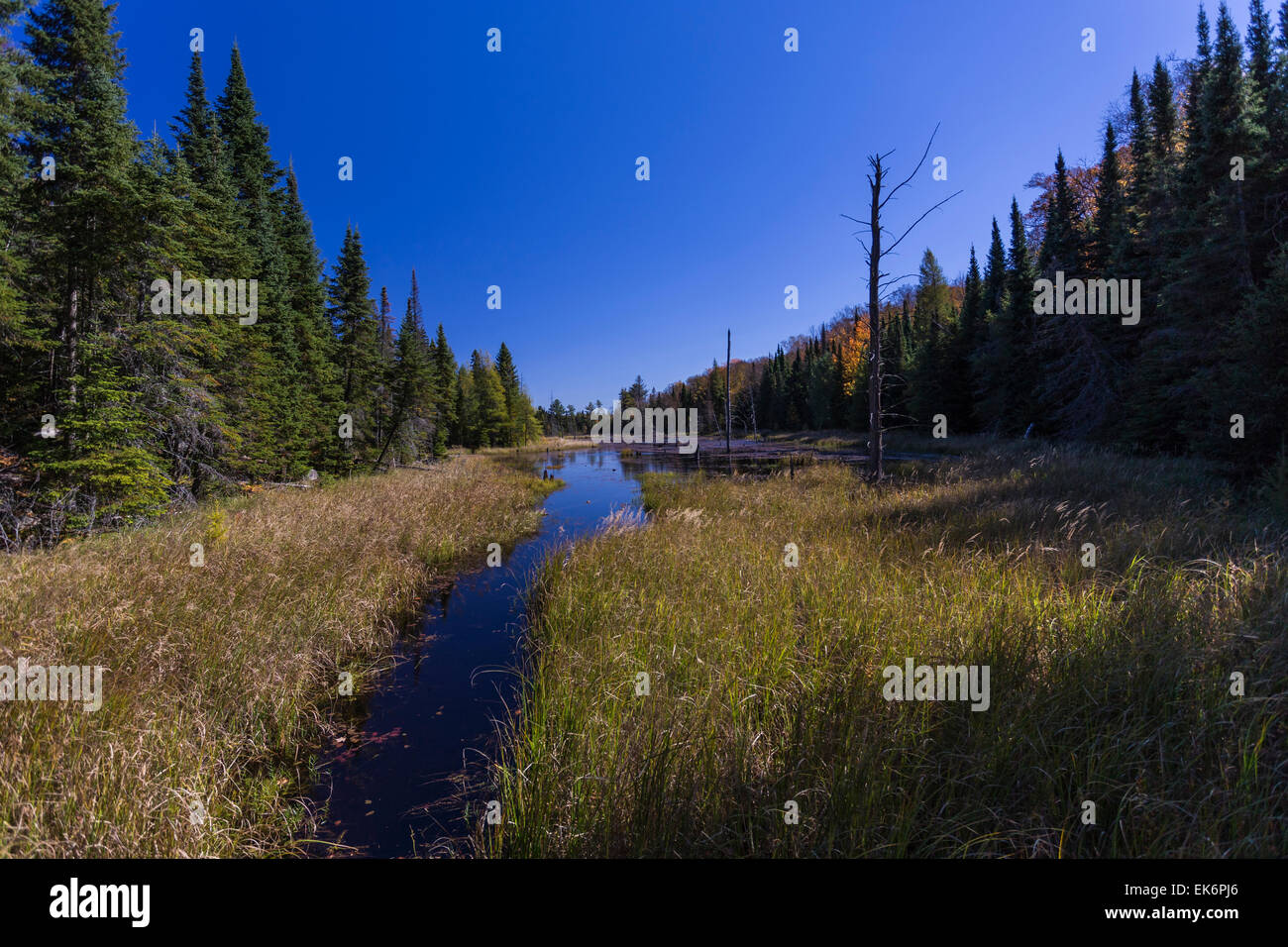 Mikisew Provincial Park, Eagle Lake, South River, Ontario, Canada Stock ...