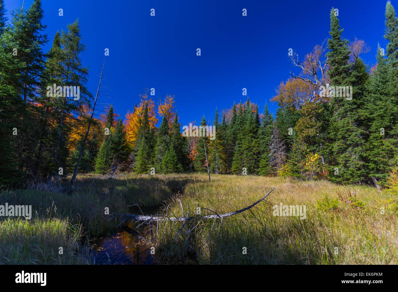 Mikisew Provincial Park, Eagle Lake, South River, Ontario, Canada Stock ...