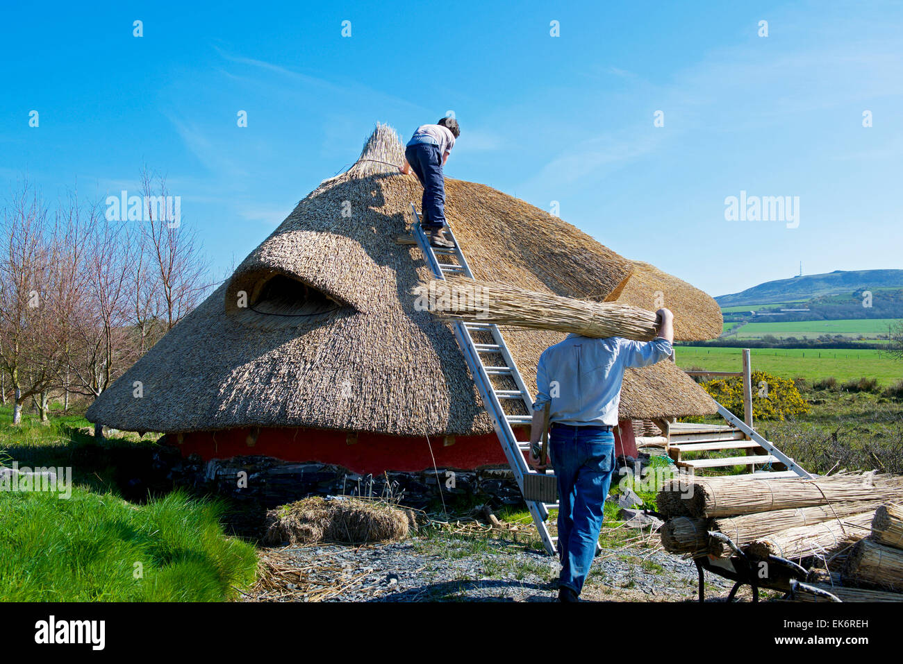 Thatching a roundhouse at the Felin Uchaf eco-centre, Rhoshirwaun. near ...