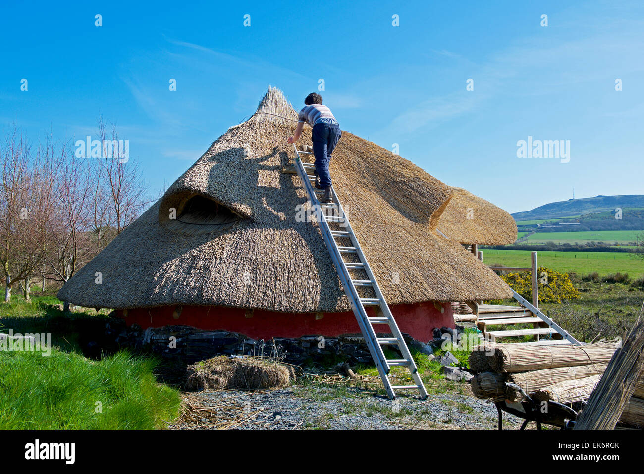 Thatching a roundhouse at the Felin Uchaf eco-centre, Rhoshirwaun. near ...