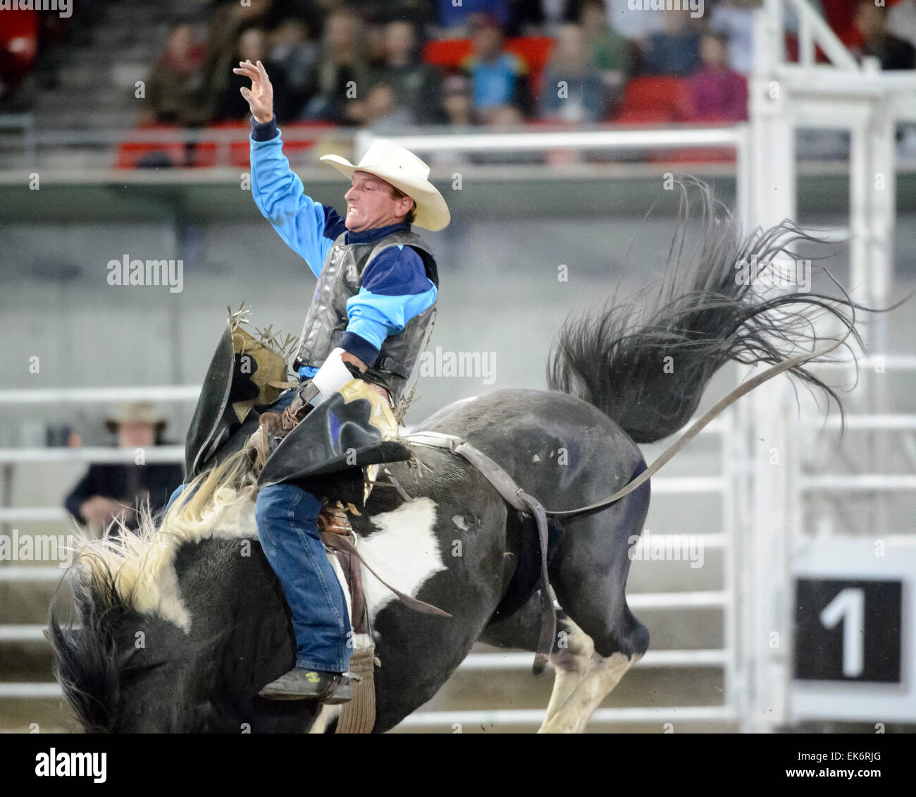 Sydney, Australia. 7th April, 2015. The Royal Easter Show included the ...