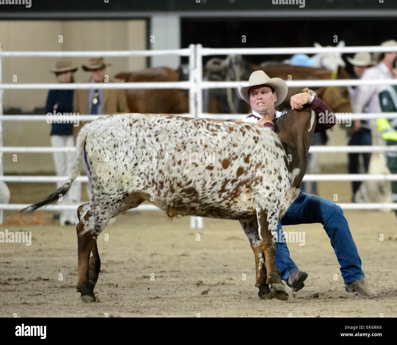 Sydney, Australia. 7th April, 2015. The Royal Easter Show included the ...