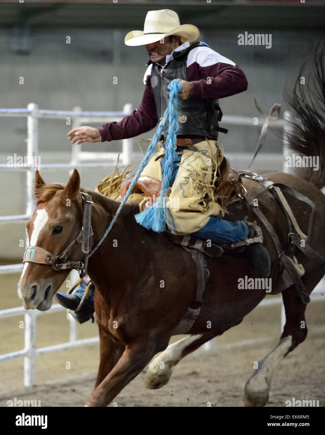 Sydney, Australia. 7th April, 2015. The Royal Easter Show included the ...