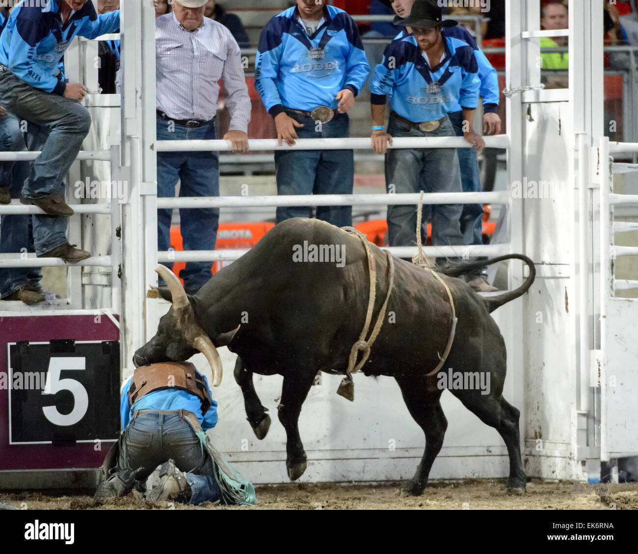 Sydney, Australia. 7th April, 2015. The Royal Easter Show included the ...