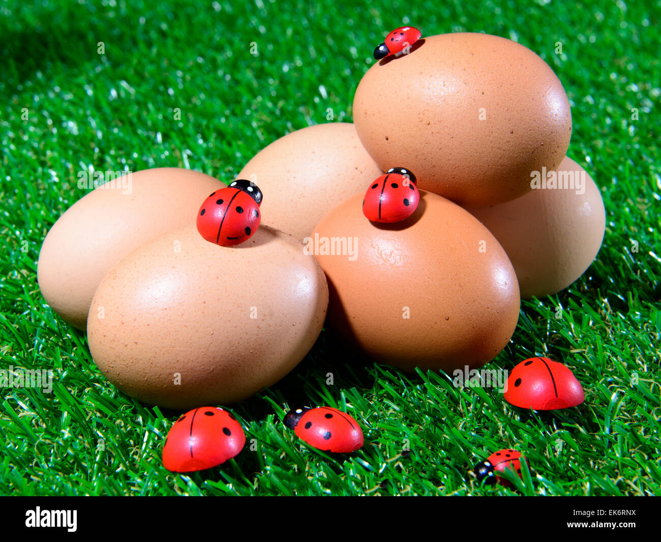 Six fresh eggs in the grass with ladybugs Stock Photo - Alamy