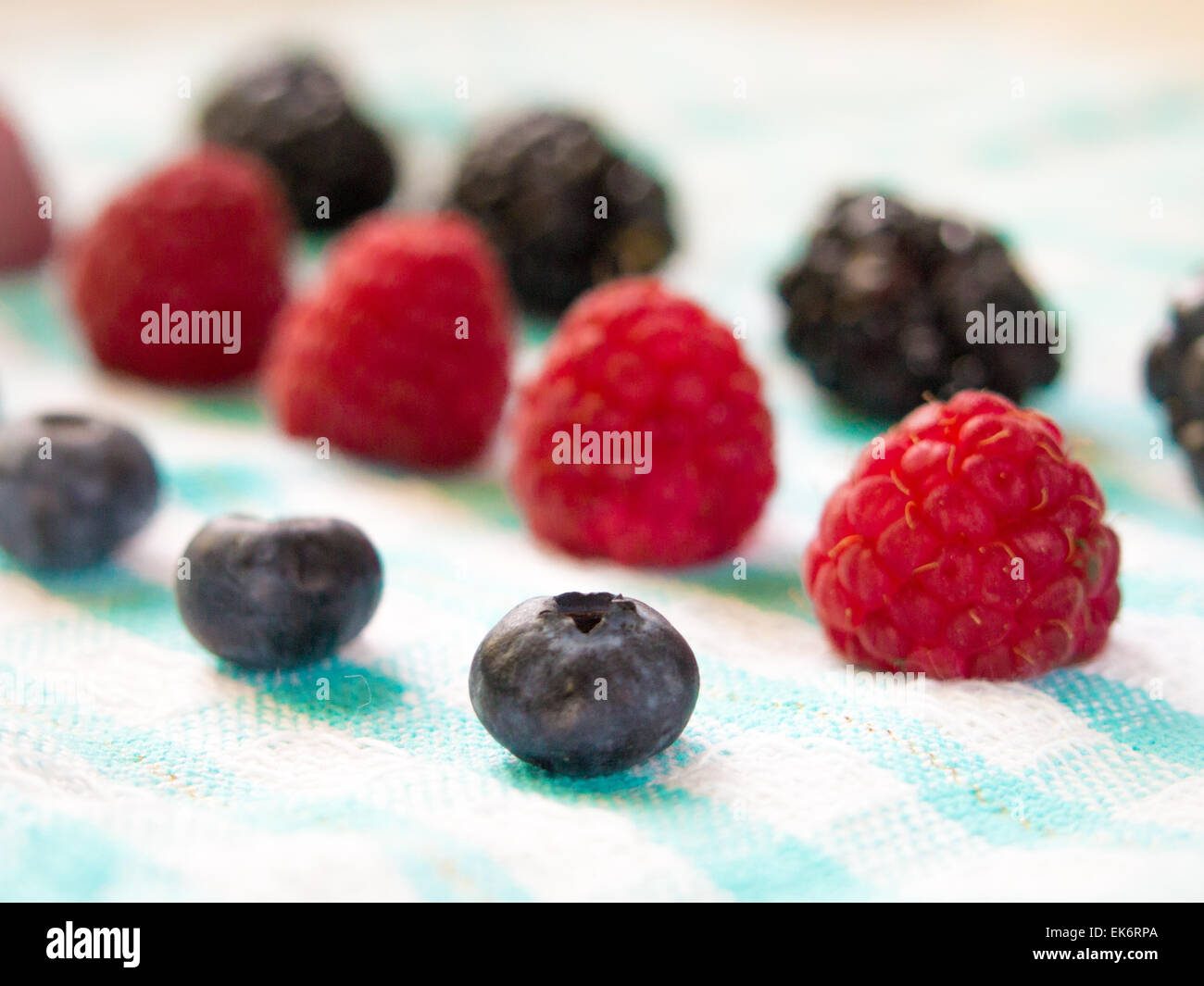 cute blueberries, raspberries and blackberries are in lines Stock Photo ...