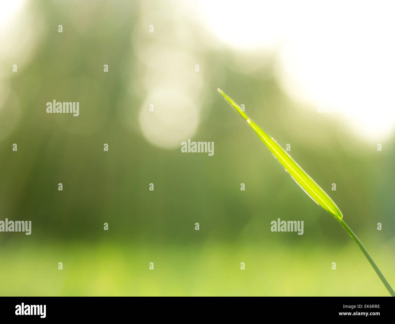 Brighting Color High Resolution Stock Photography and Images - Alamy