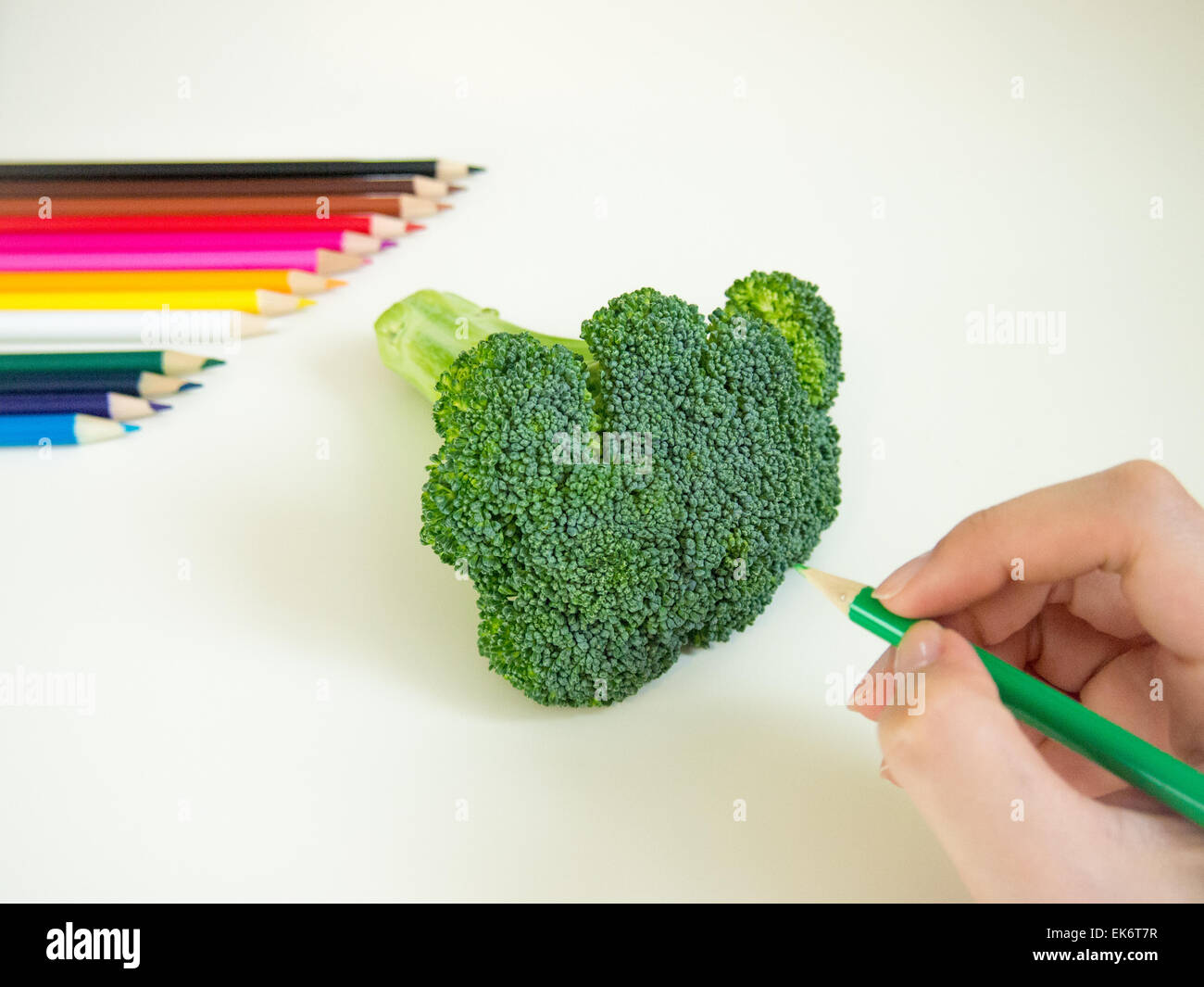 Broccoli drawing hi-res stock photography and images - Alamy