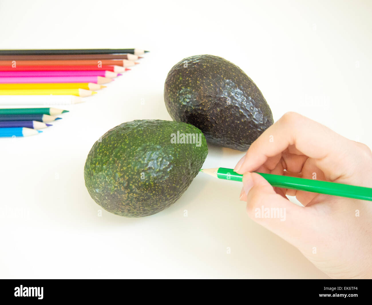 Avocado Pencil Drawing