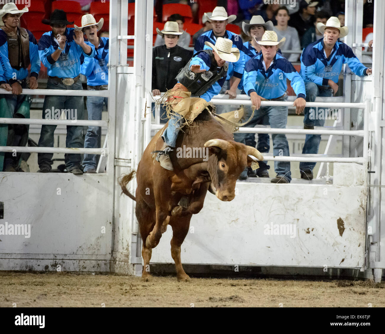 State of origin queensland hi-res stock photography and images - Alamy