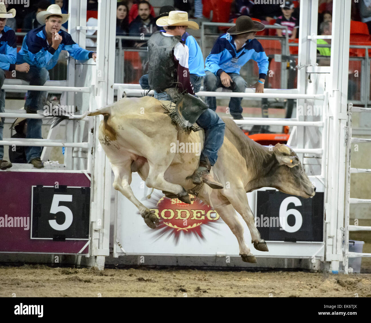 Sydney, Australia. 7th April, 2015. The Royal Easter Show included the ...