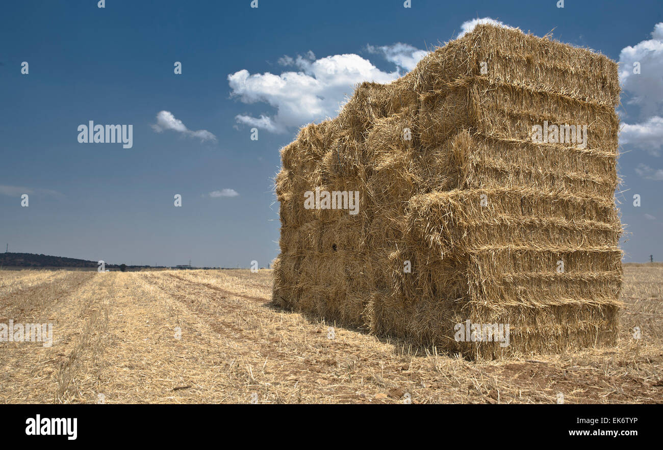 Square stack hi-res stock photography and images - Alamy