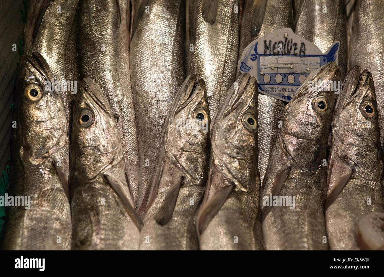 European hakes hi-res stock photography and images - Alamy