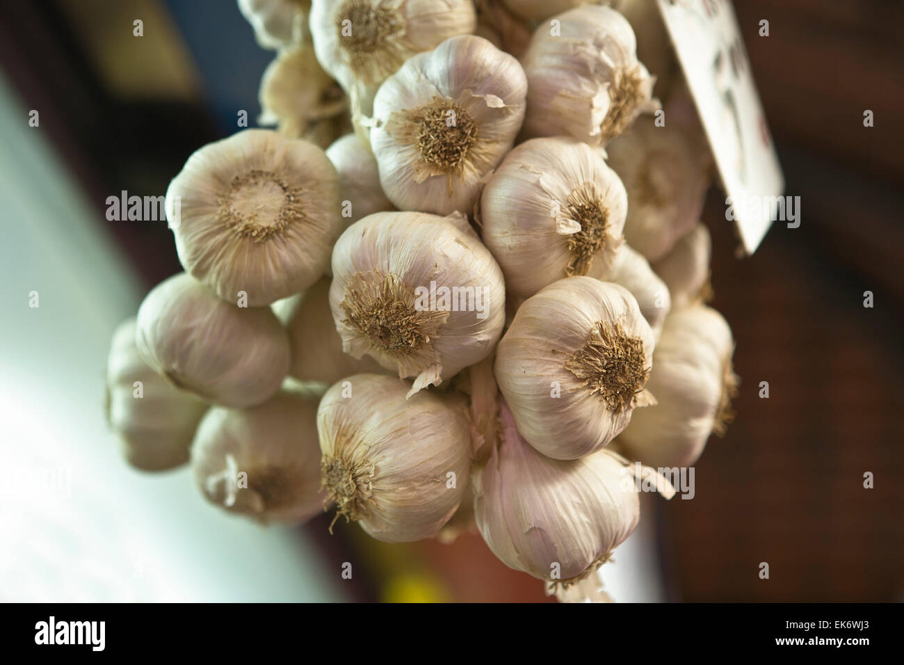 Garlic seed hi-res stock photography and images - Alamy