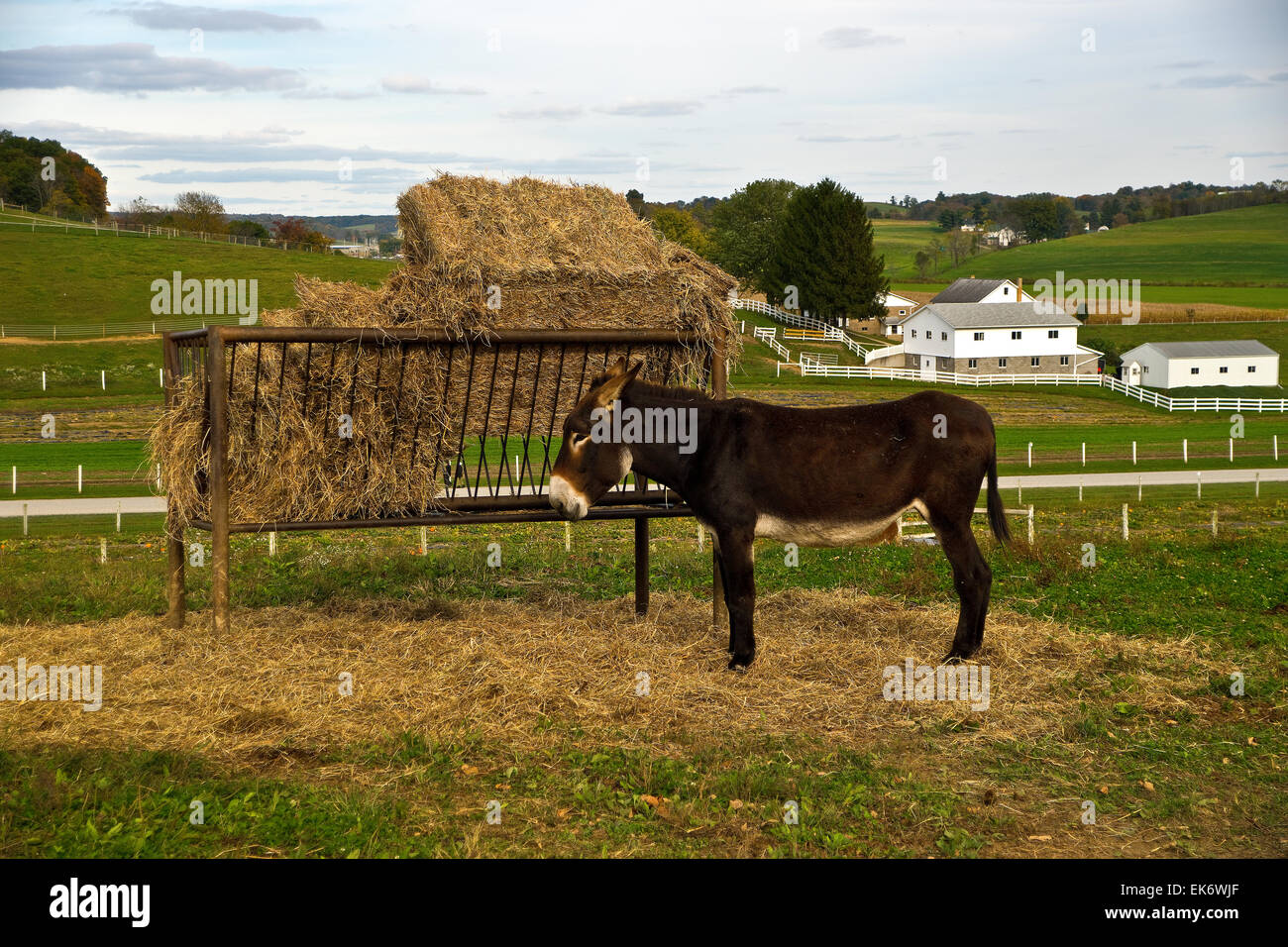 Amish farm ohio hi-res stock photography and images - Alamy