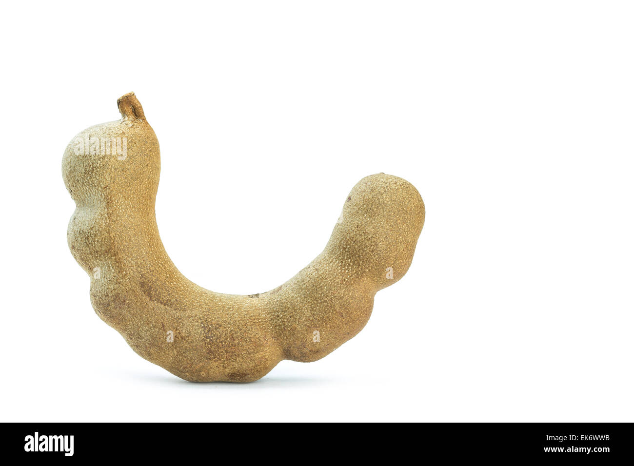 Close up tamarind isolated on white background Stock Photo - Alamy