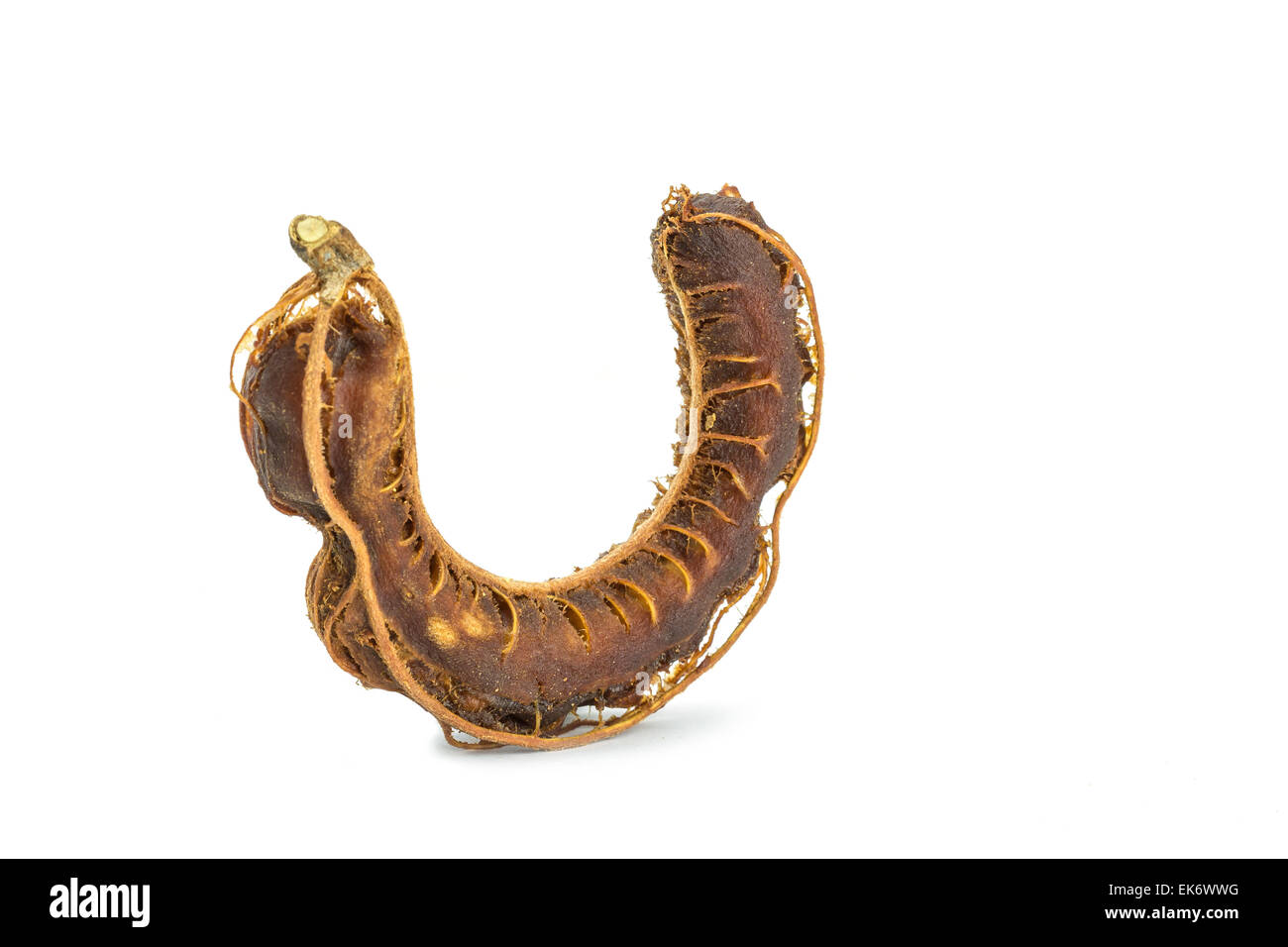 Close up tamarind isolated on white background Stock Photo - Alamy