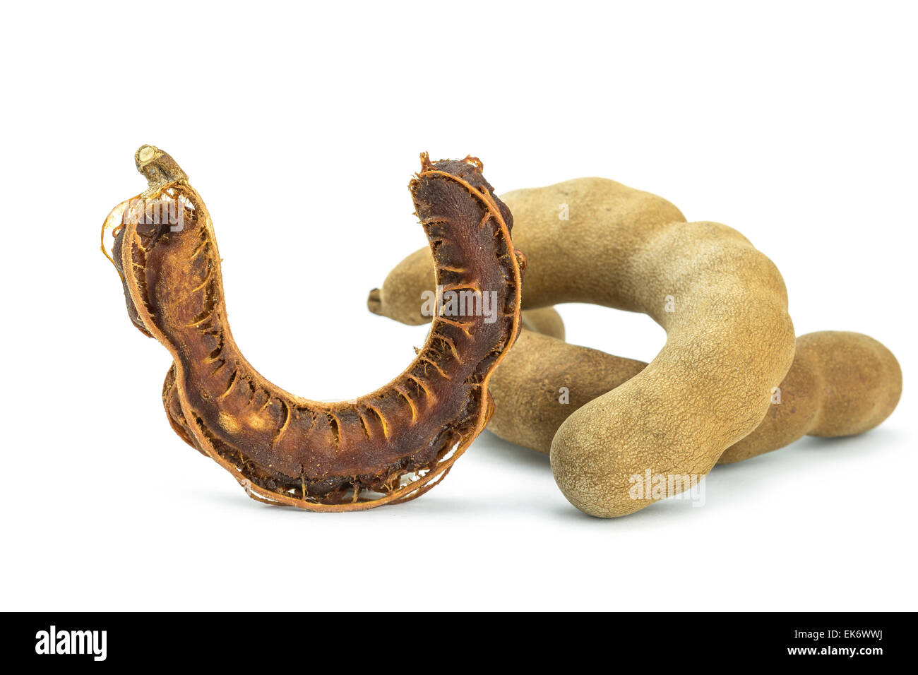 Close up tamarind isolated on white background Stock Photo - Alamy