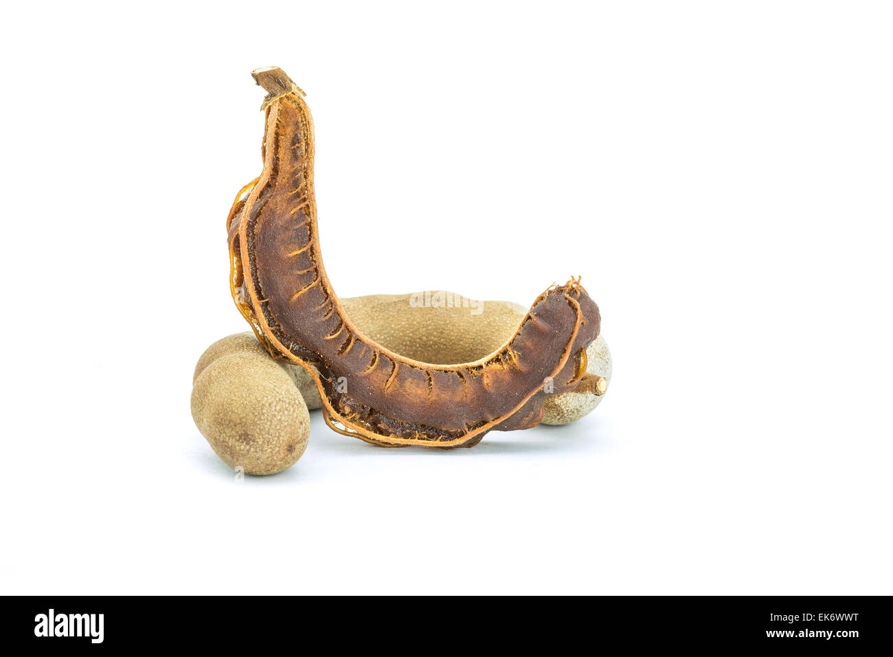 Close up tamarind isolated on white background Stock Photo - Alamy