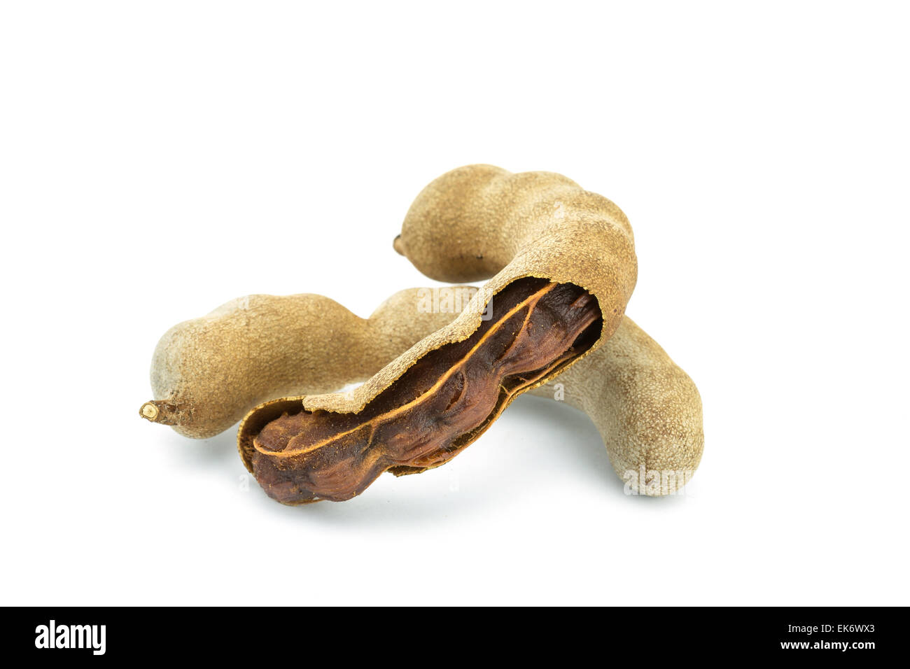 Close up tamarind isolated on white background Stock Photo - Alamy