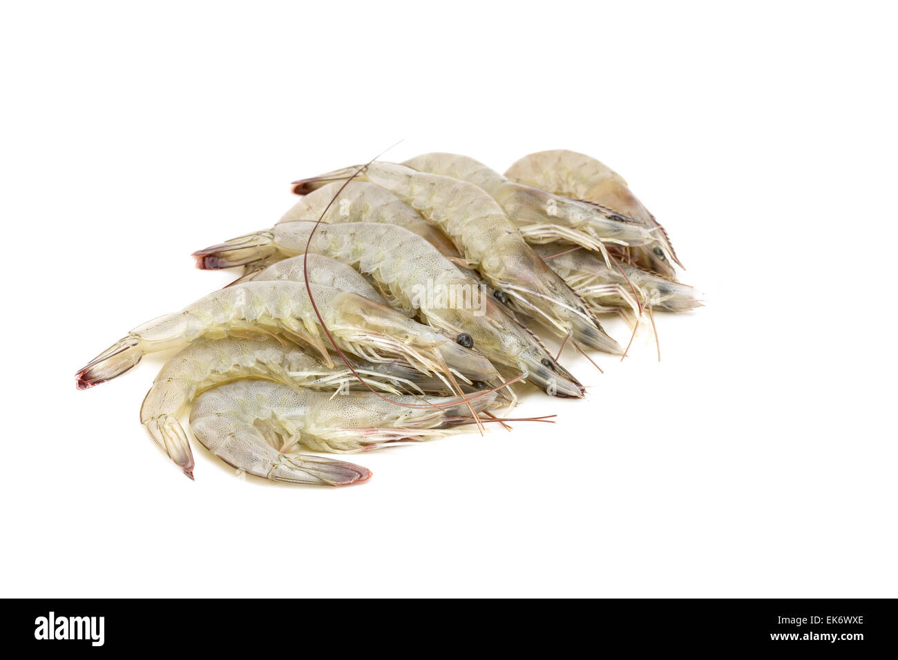 Fresh shrimps prawns Cut Out Stock Images & Pictures - Alamy