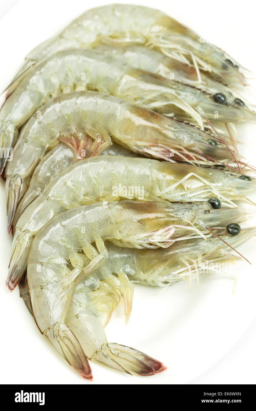 Fresh shrimp on white dish Stock Photo - Alamy