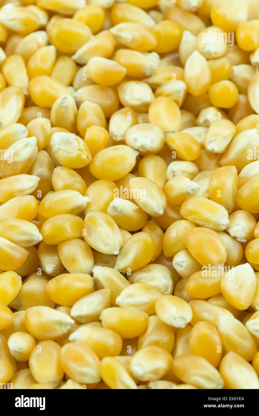 Raw kernel corn beans texture hi-res stock photography and images - Alamy