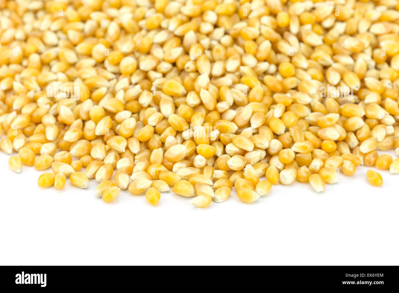 Close up yellow grain corn isolated on white background Stock Photo - Alamy