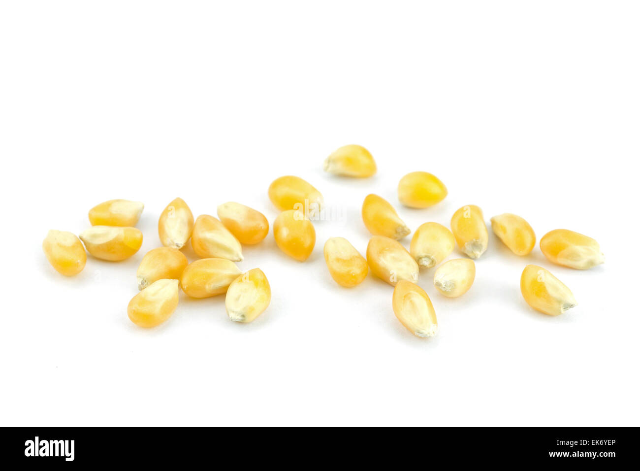Close up yellow grain corn isolated on white background Stock Photo - Alamy