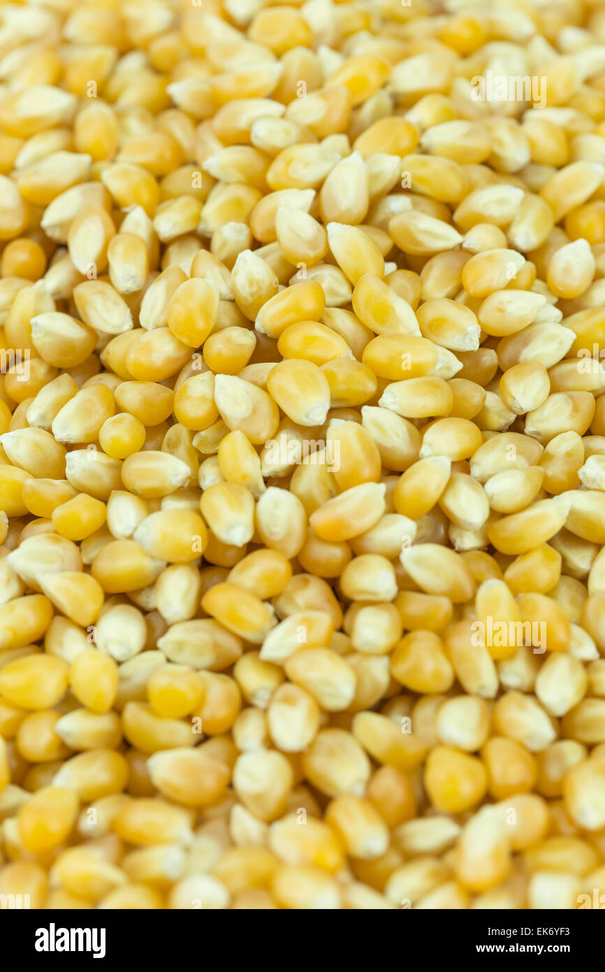 Kernel corn cob close up dried hi-res stock photography and images - Alamy