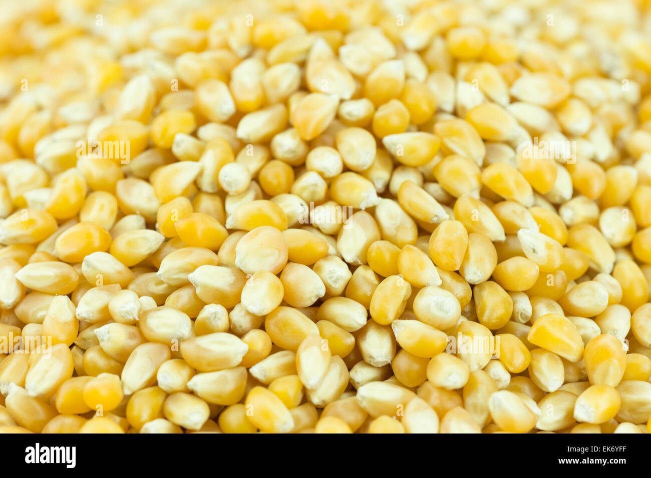 Whole grain yellow corn meal hi-res stock photography and images - Alamy