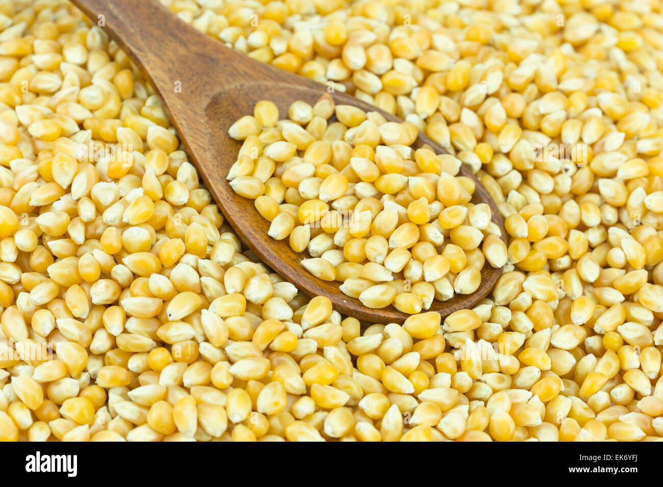 Whole grain yellow corn meal hi-res stock photography and images - Alamy