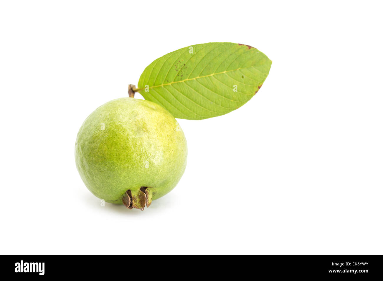 Local Thai green guava isolated on white background Stock Photo - Alamy
