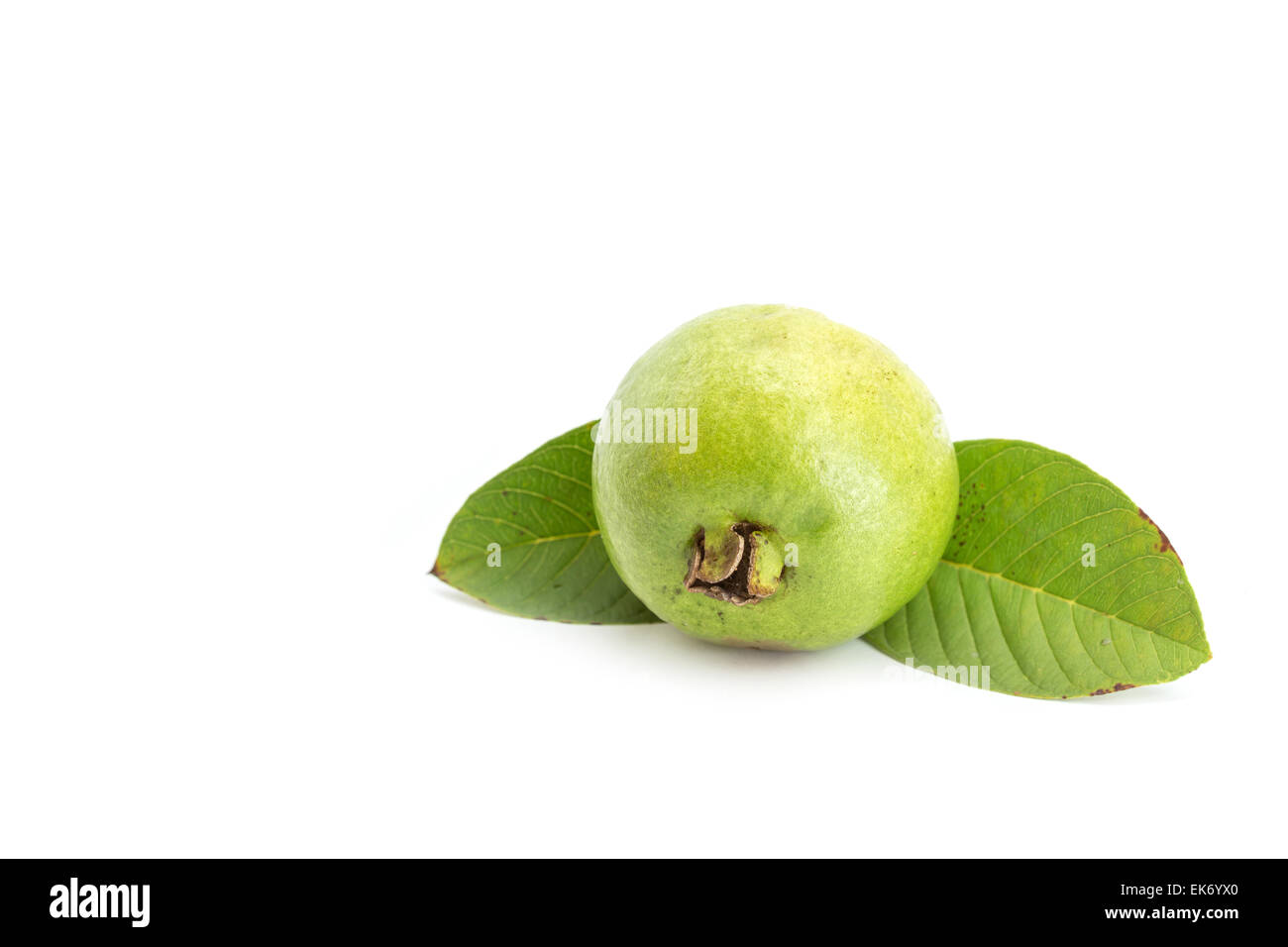 Local Thai green guava isolated on white background Stock Photo - Alamy