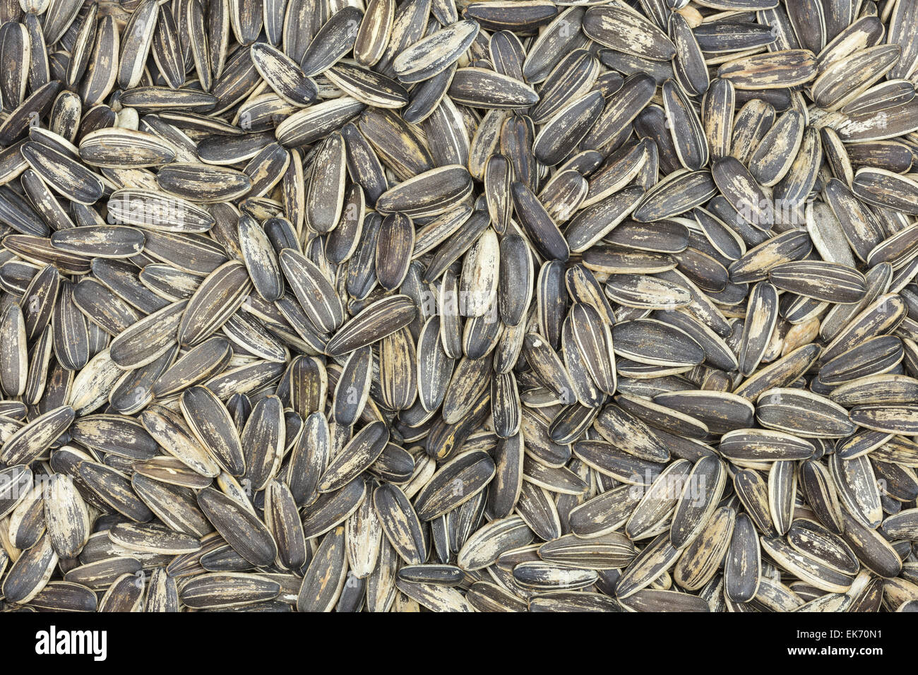 Sunflower seeds for background uses Stock Photo - Alamy
