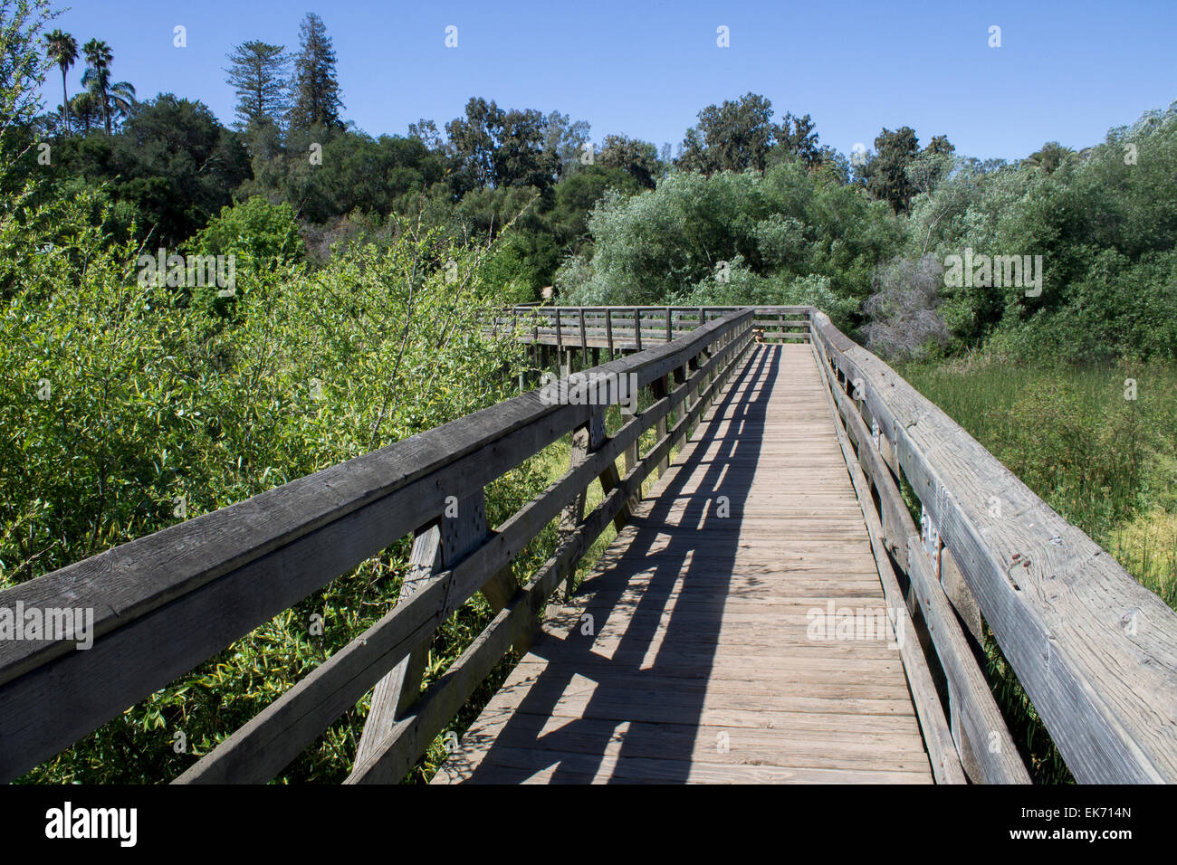 Plank walkway hi-res stock photography and images - Alamy