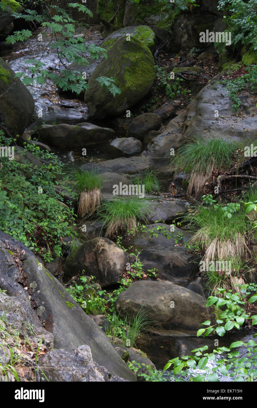 Sunlight after rainstorm hi-res stock photography and images - Alamy