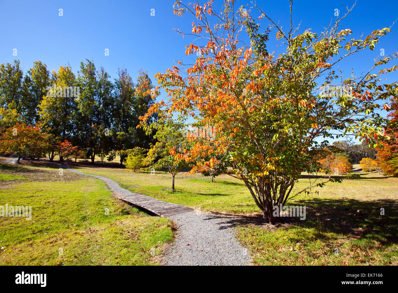 Mt Lofty Botanical Gardens Adelaide Hills South Australia Australian ...