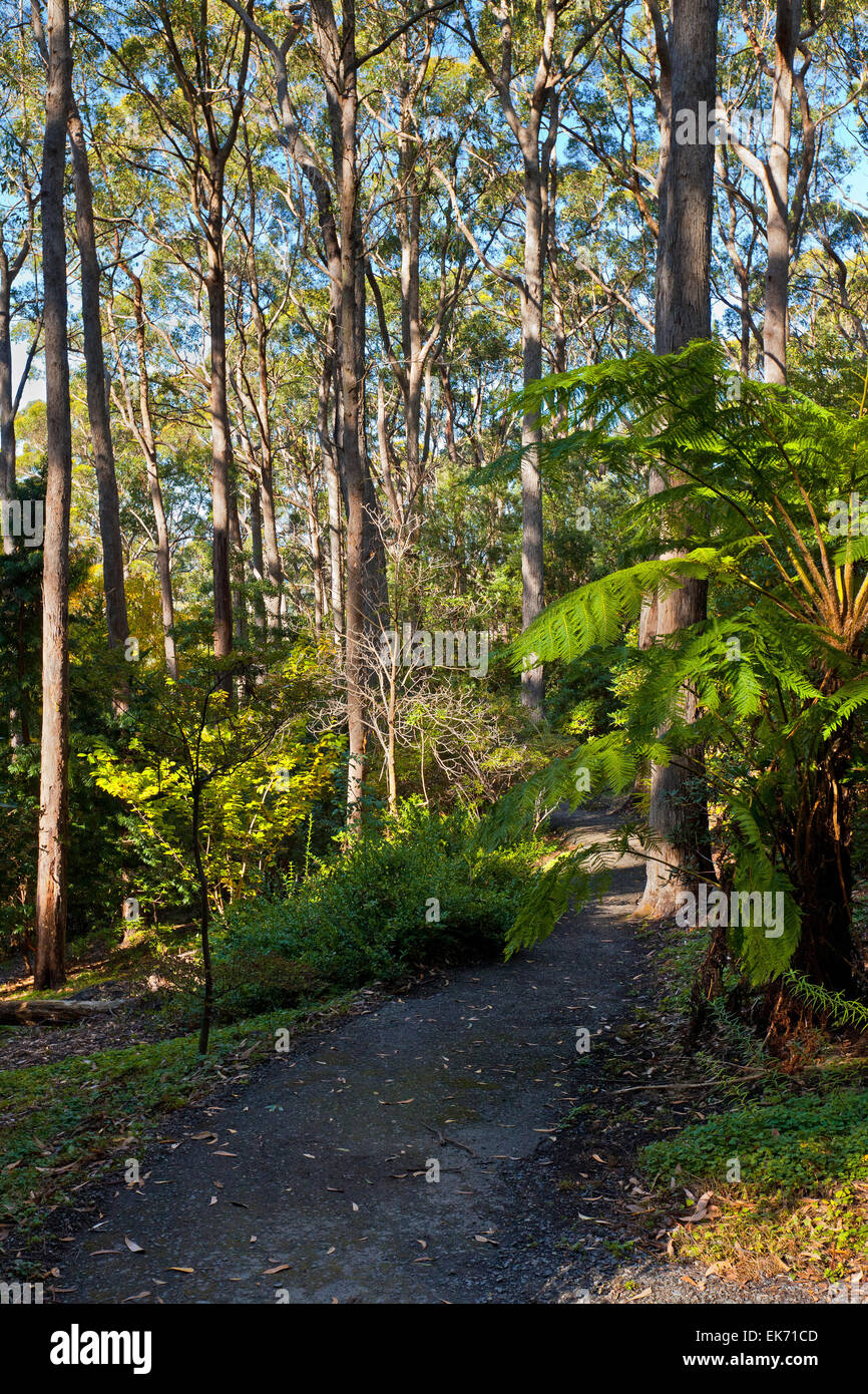 Mt Lofty Botanical Gardens Adelaide Hills South Australia Australian ...