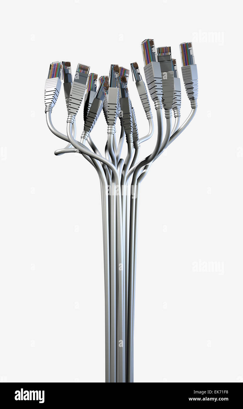 A bouquet collection of ethernet plugs with chords bundled together and ...