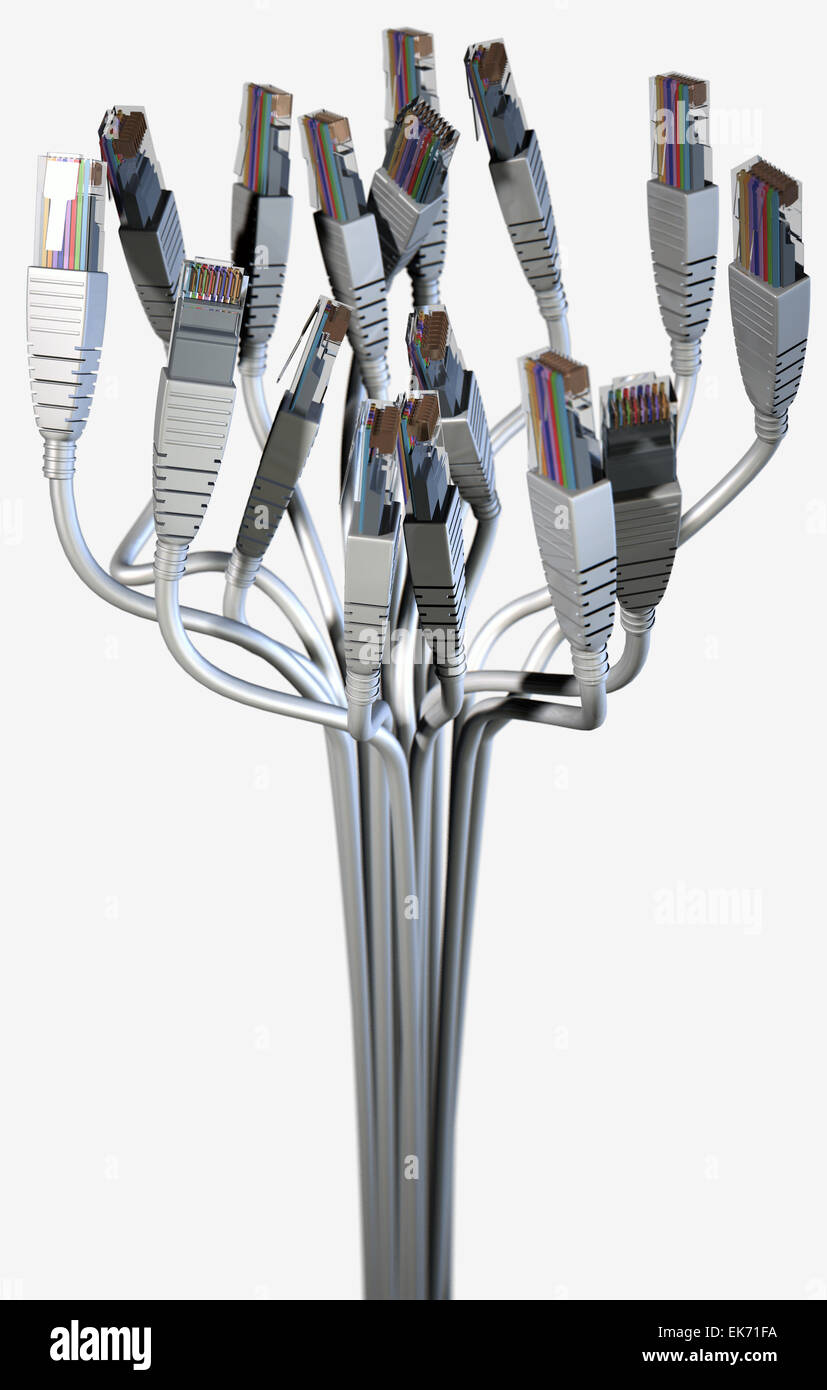 A bouquet collection of ethernet plugs with chords bundled together and ...