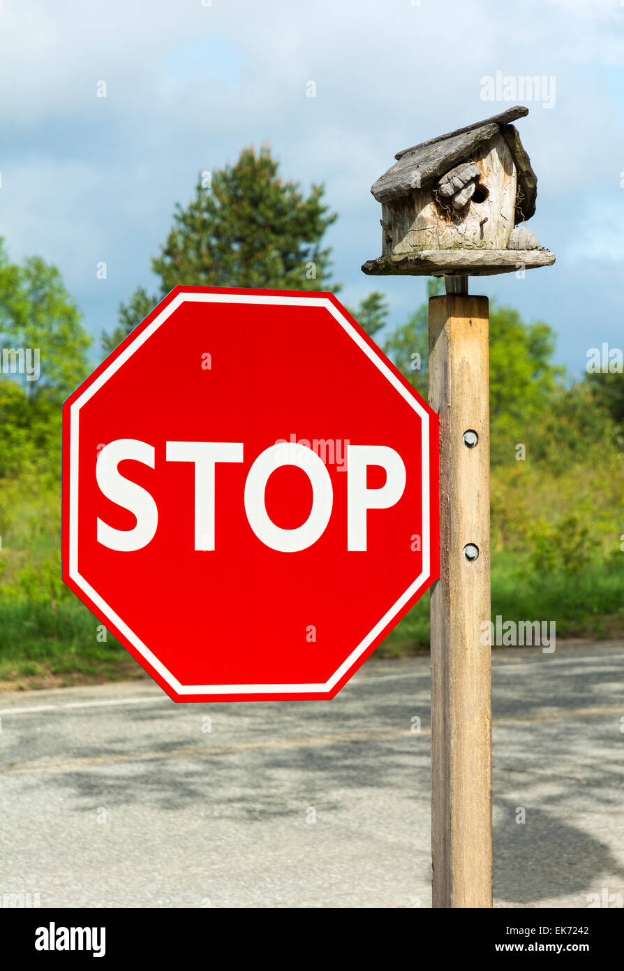 New York, Adirondack Park, Tupper Lake, The Wild Center, STOP sign ...