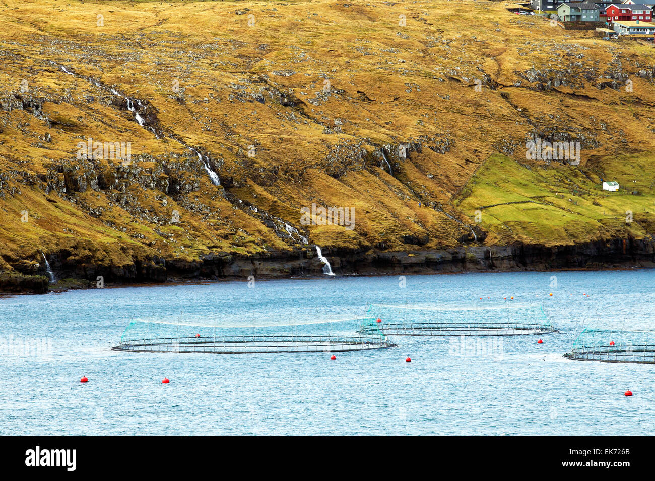 Off shore fish farm the Fareo Islands, North Atlantic Stock Photo - Alamy