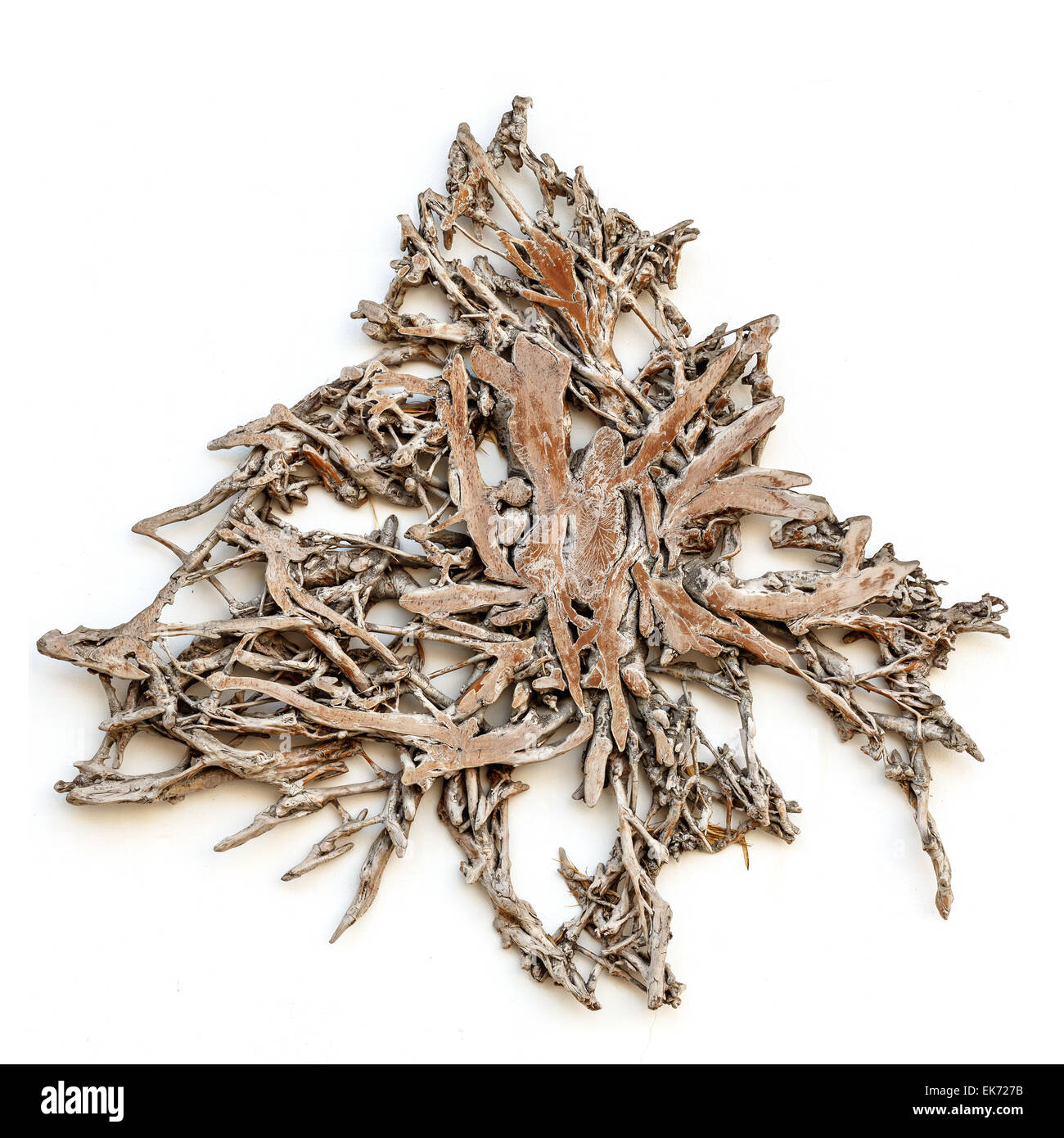 Root tree texture hi-res stock photography and images - Alamy