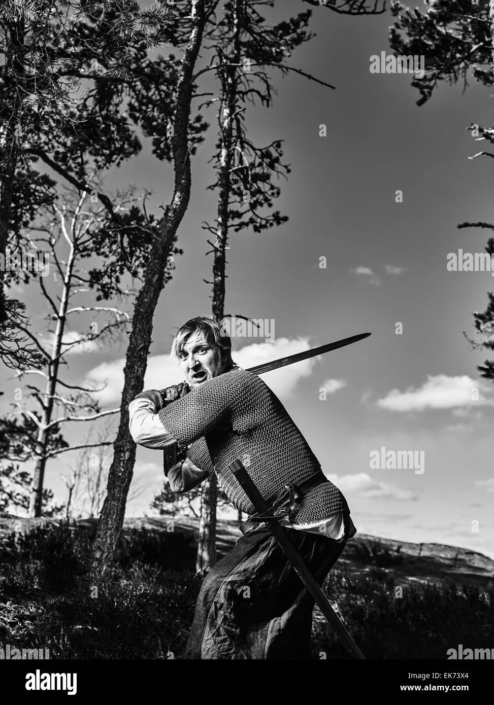 Viking chainmail armor armour hi-res stock photography and images - Alamy