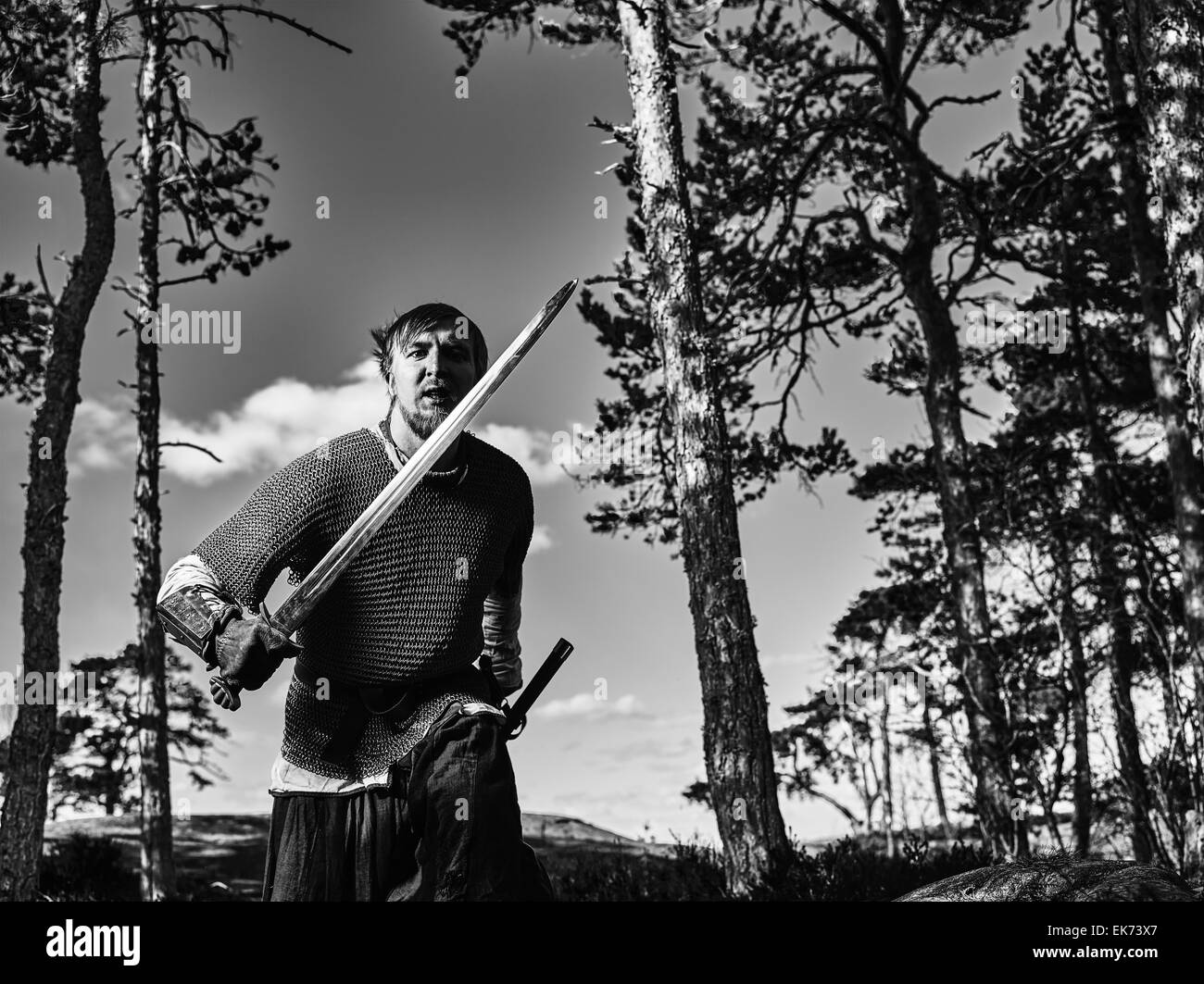 Viking chainmail armor armour hi-res stock photography and images - Alamy