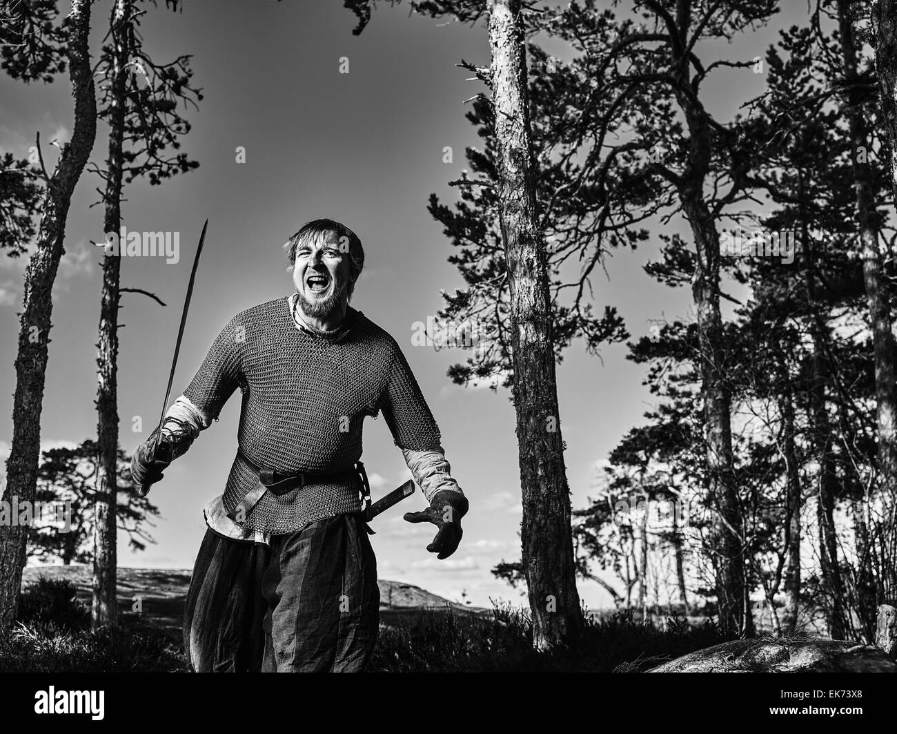 Medieval warrior with chain mail armour hi-res stock photography and ...